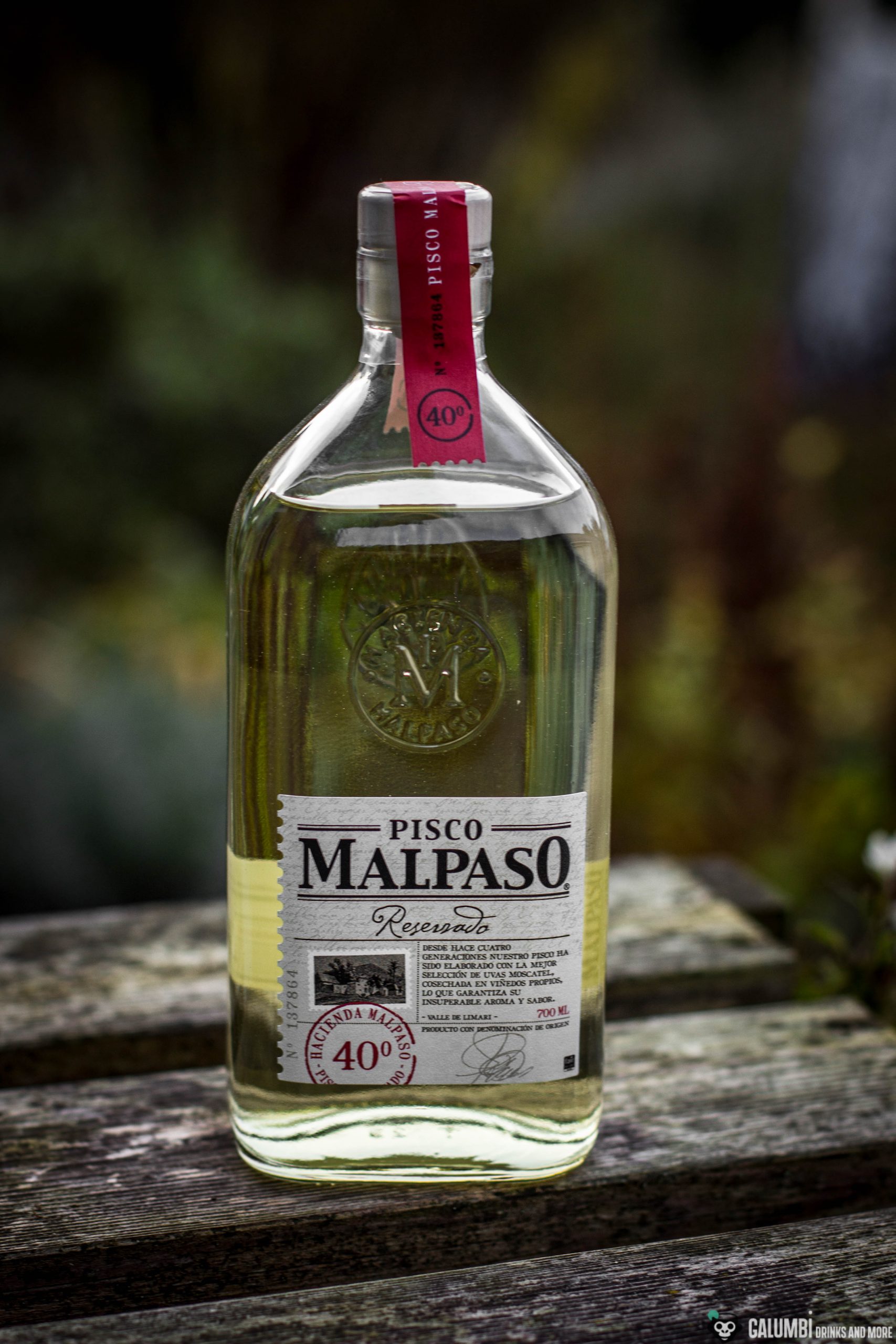 Pisco Malpaso Reservado & Velvet Curtain | Galumbi