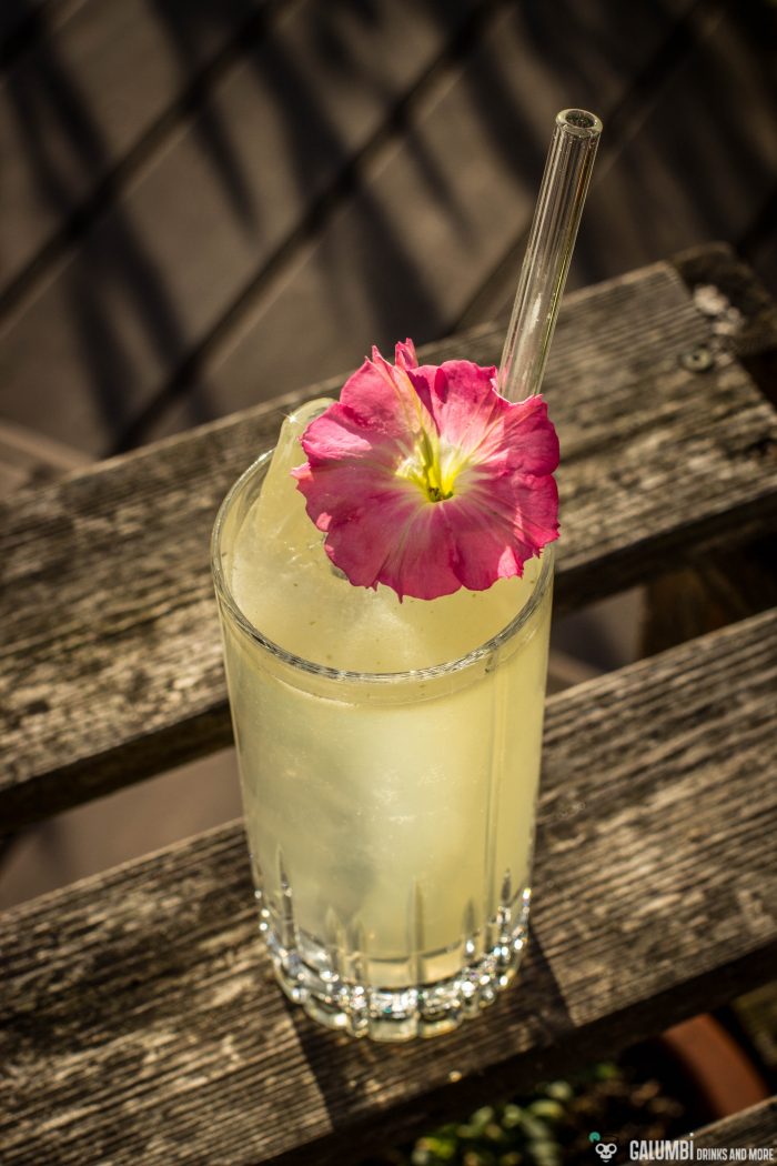 Samurai No Mon Shōchū & The Shimazu Highball | Galumbi