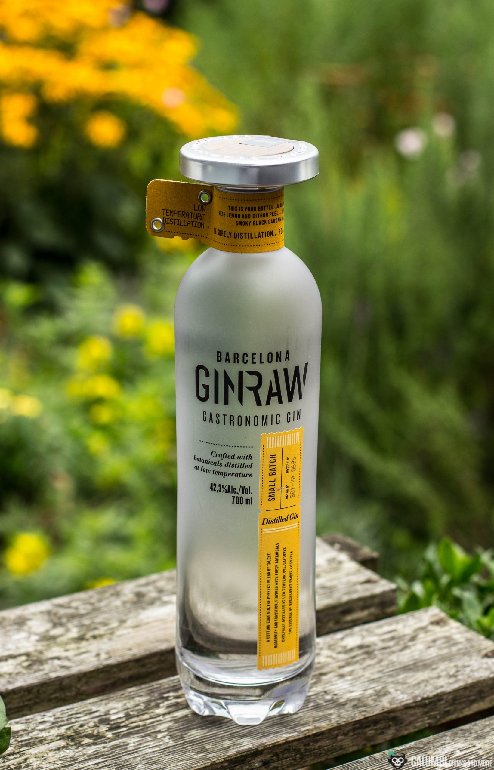 Ginraw Barcelona Gastronomic Gin & Maretini | Galumbi