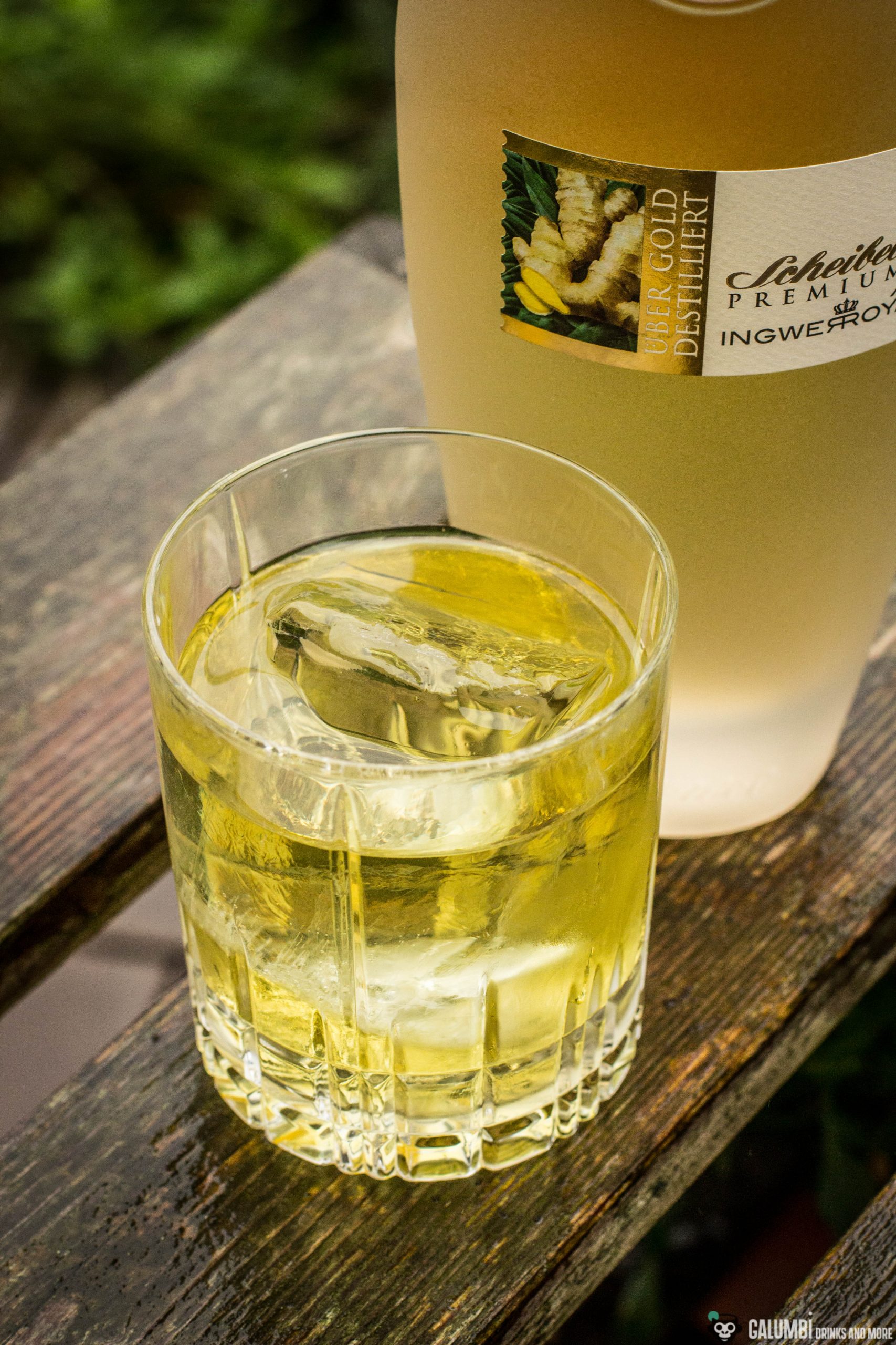 Scheibel Premium Plus Ingwer Royal – Gingergold & White Ginger Negroni ...