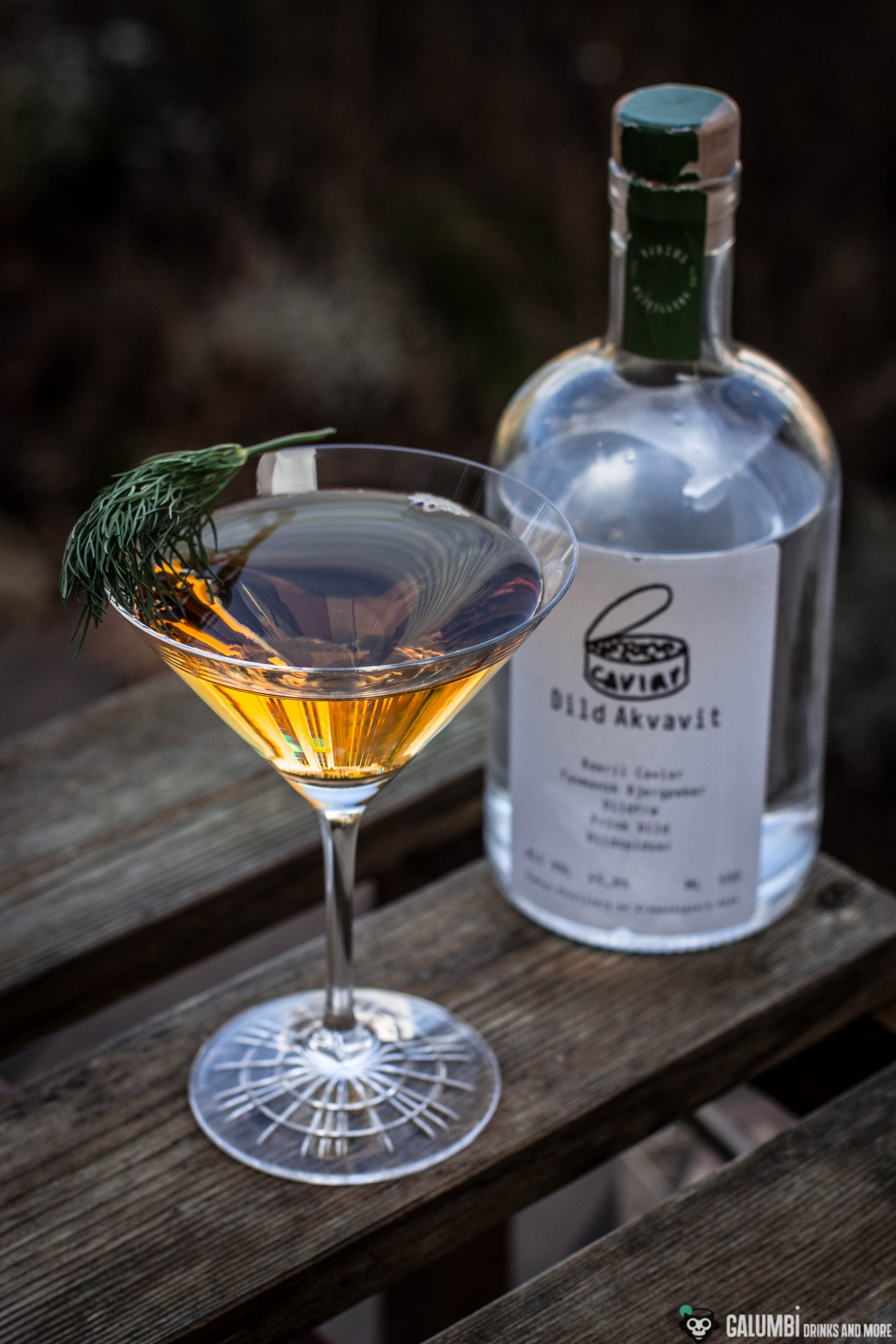 Radius Dild Akvavit & the Dilly-Dally Cocktail | Galumbi